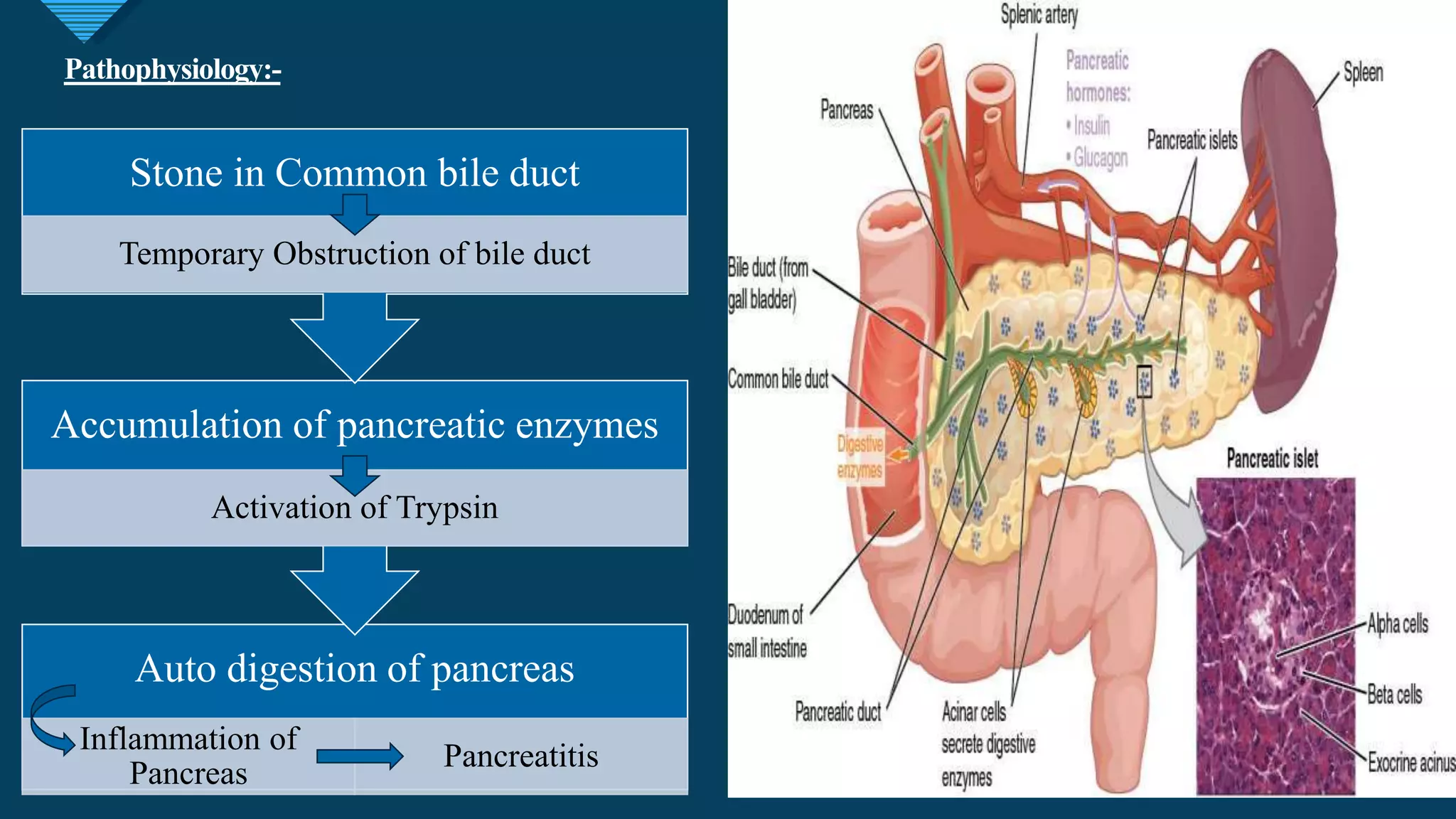 Clinical Case Study2.pptx
