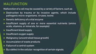 Clinical chemistry.pptx