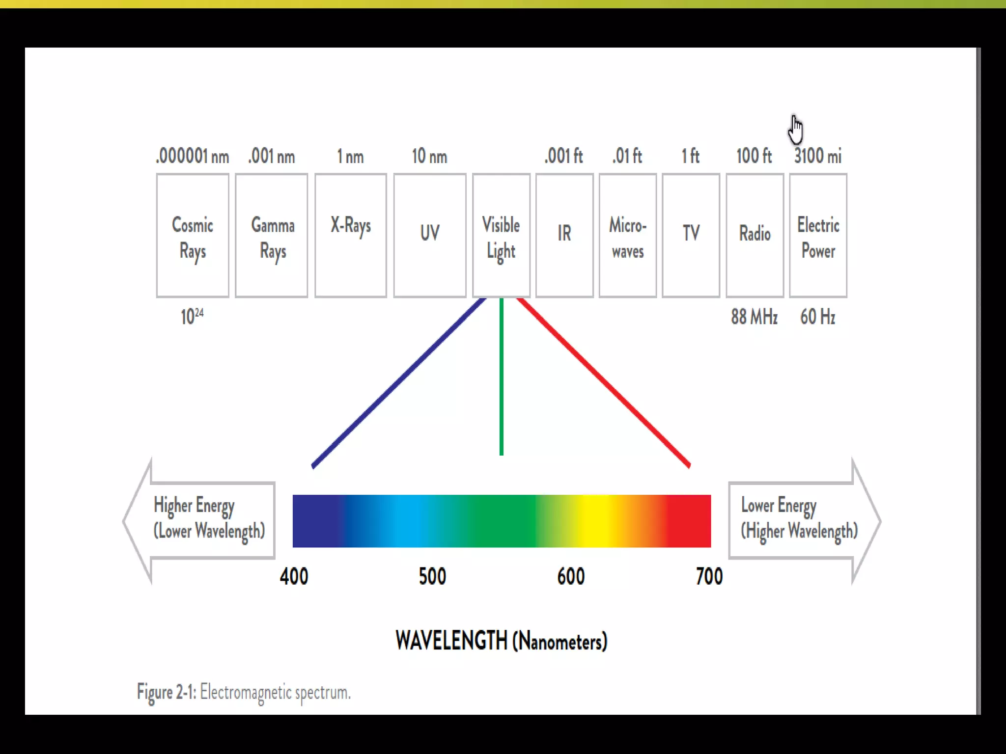 clinical chemistry principales of measurement photometry.pdf