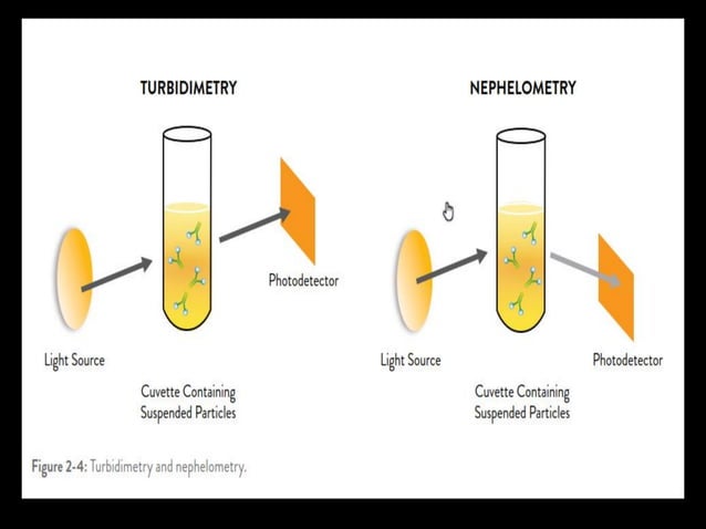 clinical chemistry principales of measurement photometry.pdf