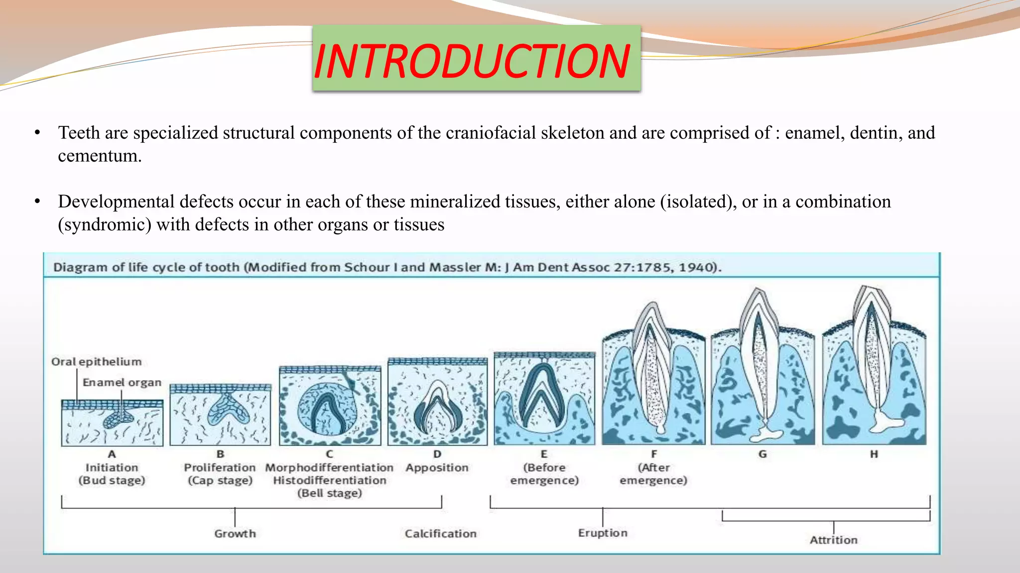 Clinical consideration in odontogenesis | PPTX