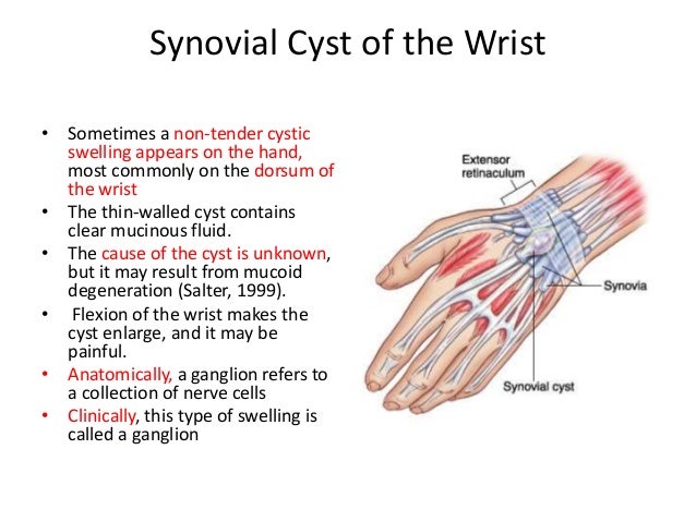 Clinical correlation of forearm