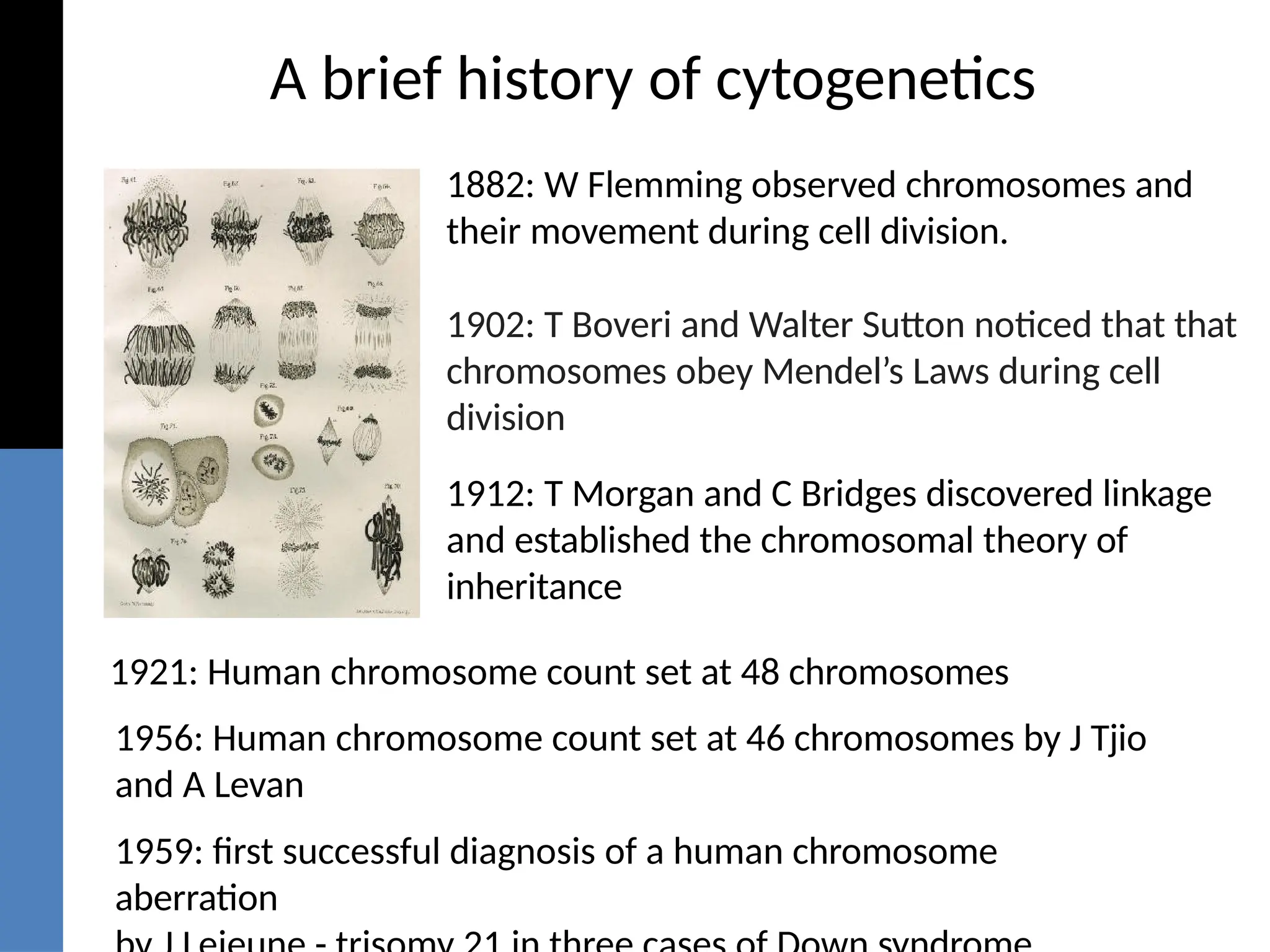 clinical cytogenetics and its importance in the medical world.pptx