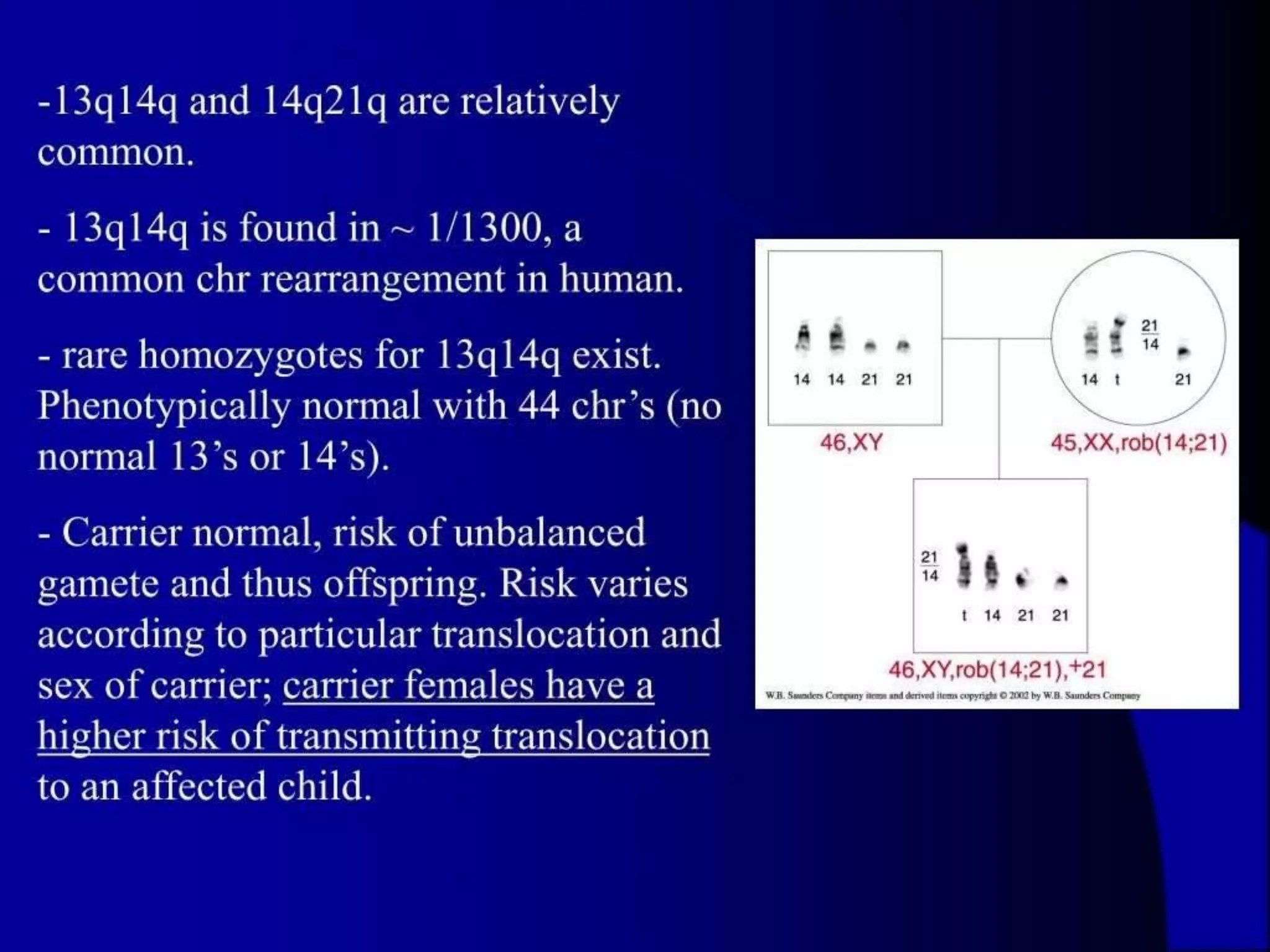 clinical cytogenetics -3.pptx