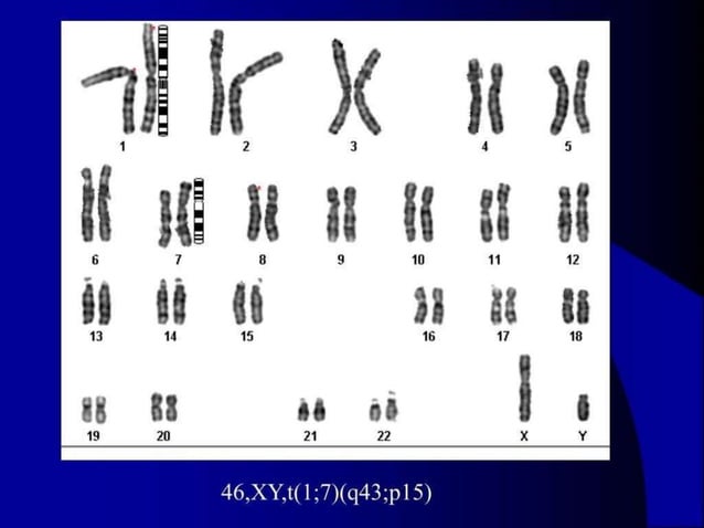 clinical cytogenetics -3.pptx