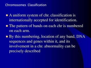clinical cytogenetics -3.pptx