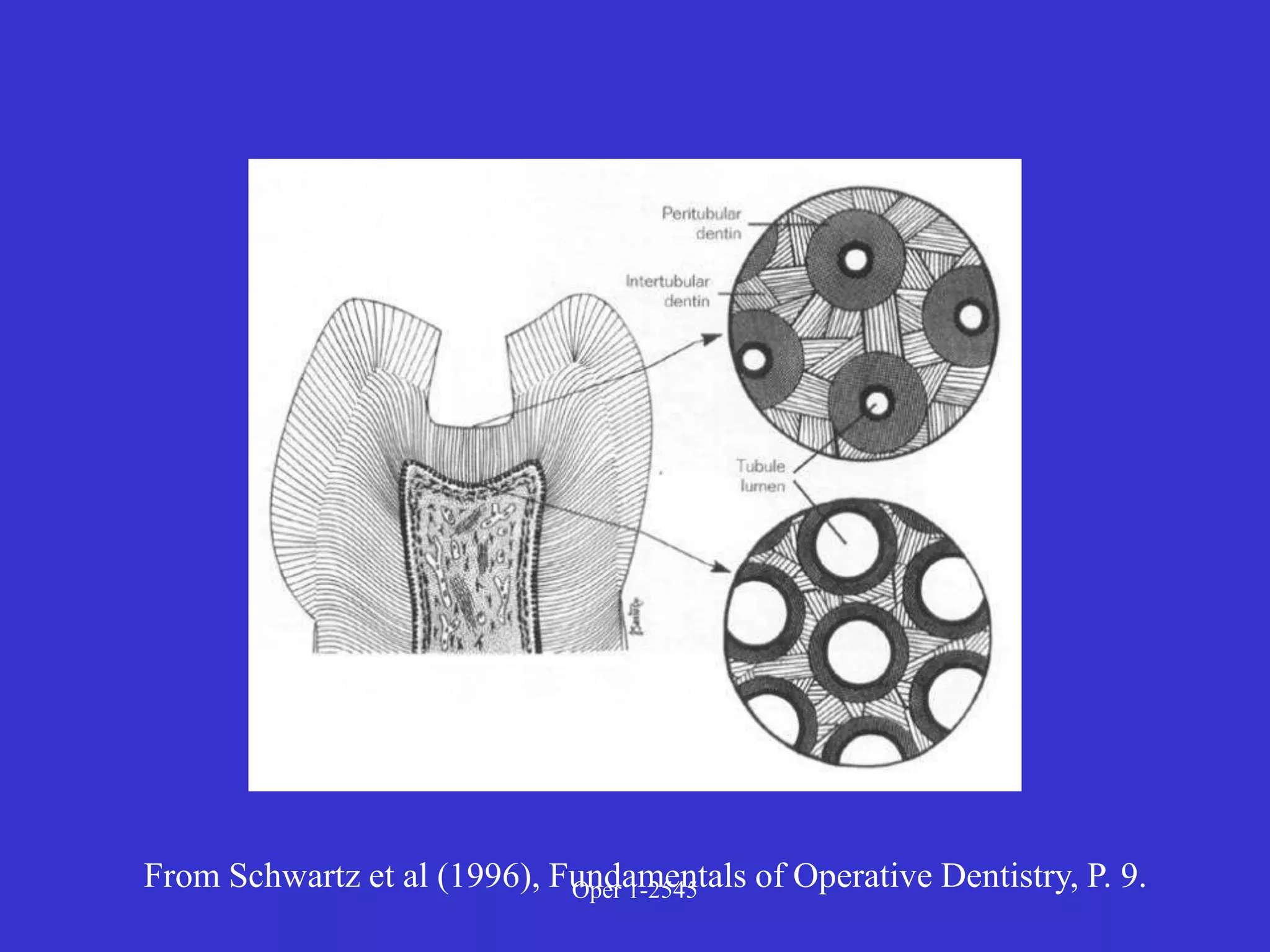 Clinical Diagnosis of Tooth Defects and Treatment Plan.ppt