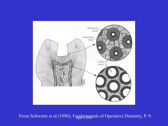 Clinical Diagnosis of Tooth Defects and Treatment Plan.ppt