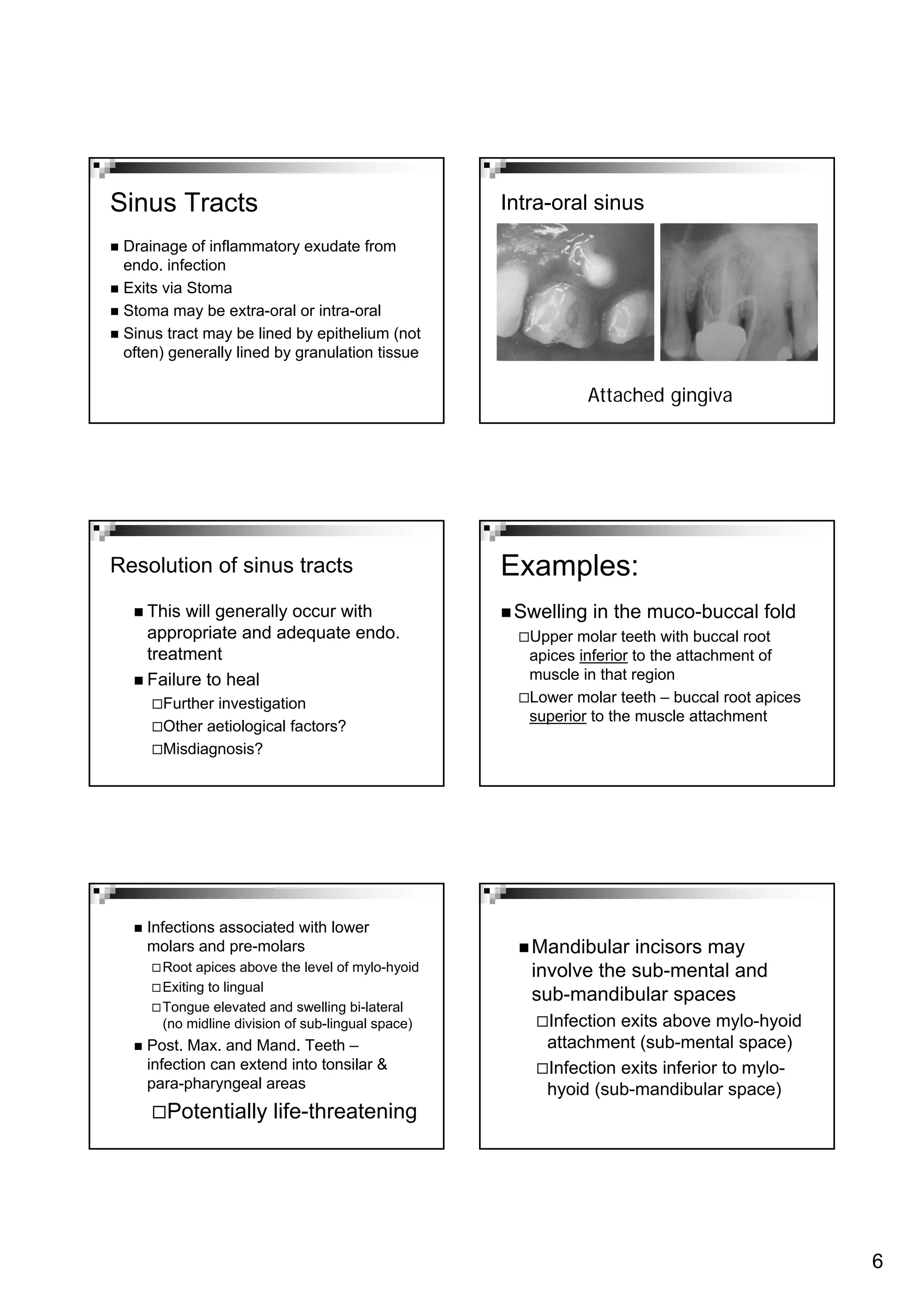 Clinical endodontic diagnosis 2009 | PDF