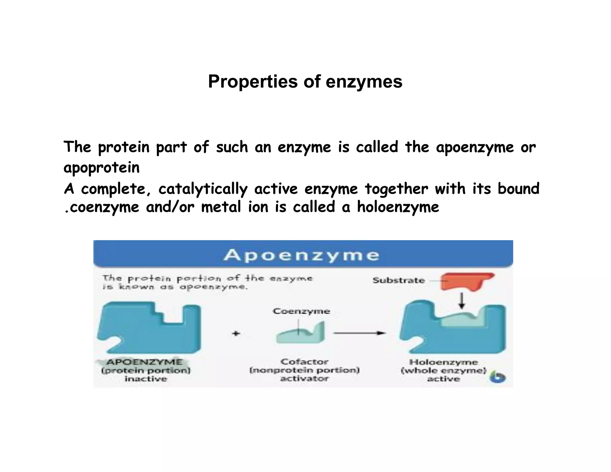 Clinical Enzymology.pdf