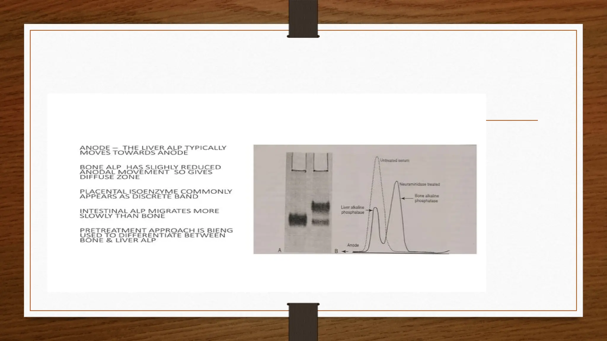 CLINICAL ENZYMOLOGY.pptx ALP, GGT AND AMYLASE | PPTX