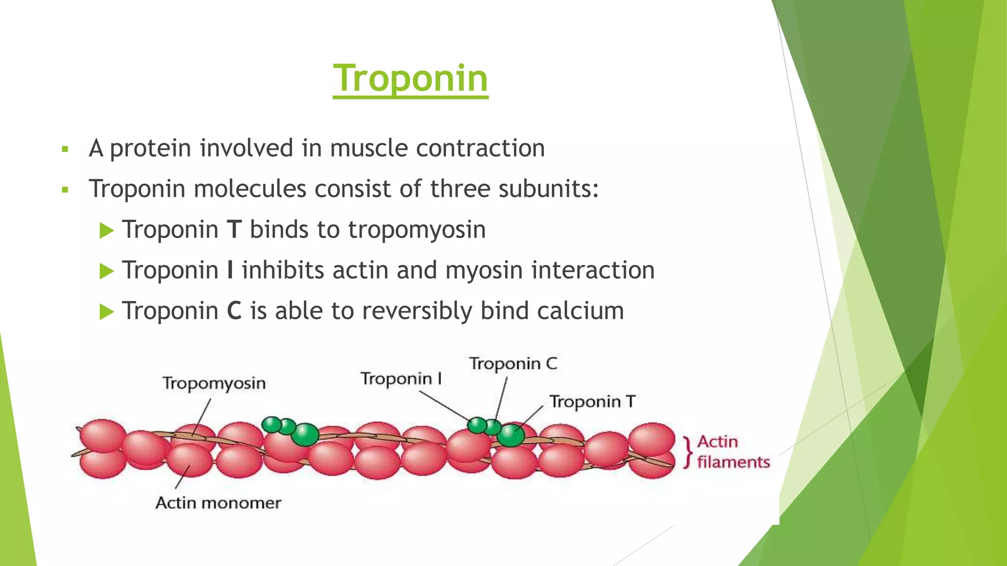 Clinical enzymology and biomarkers | PPTX