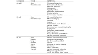 clinical enzymology_ppt_ppt_02. (1).pptx