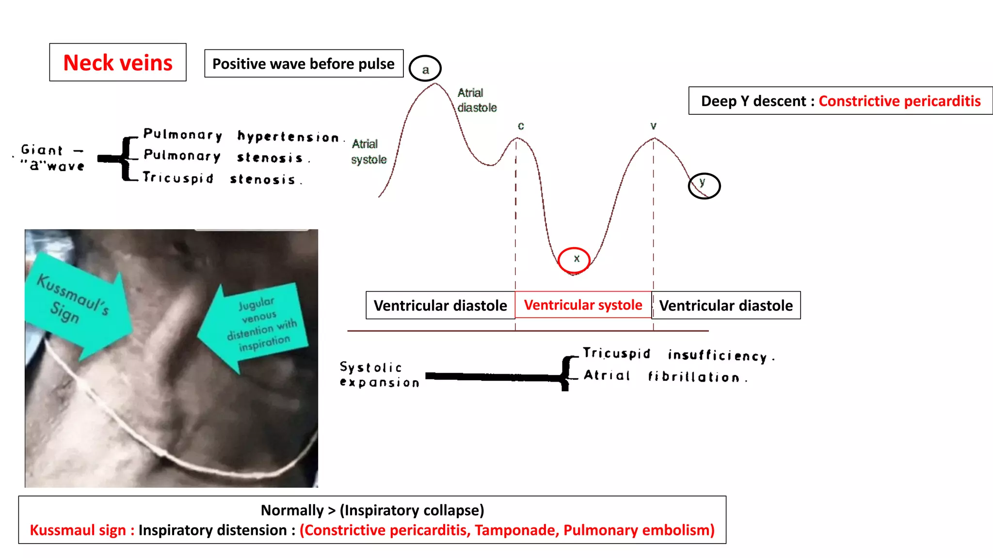 Cardiac examination | PDF