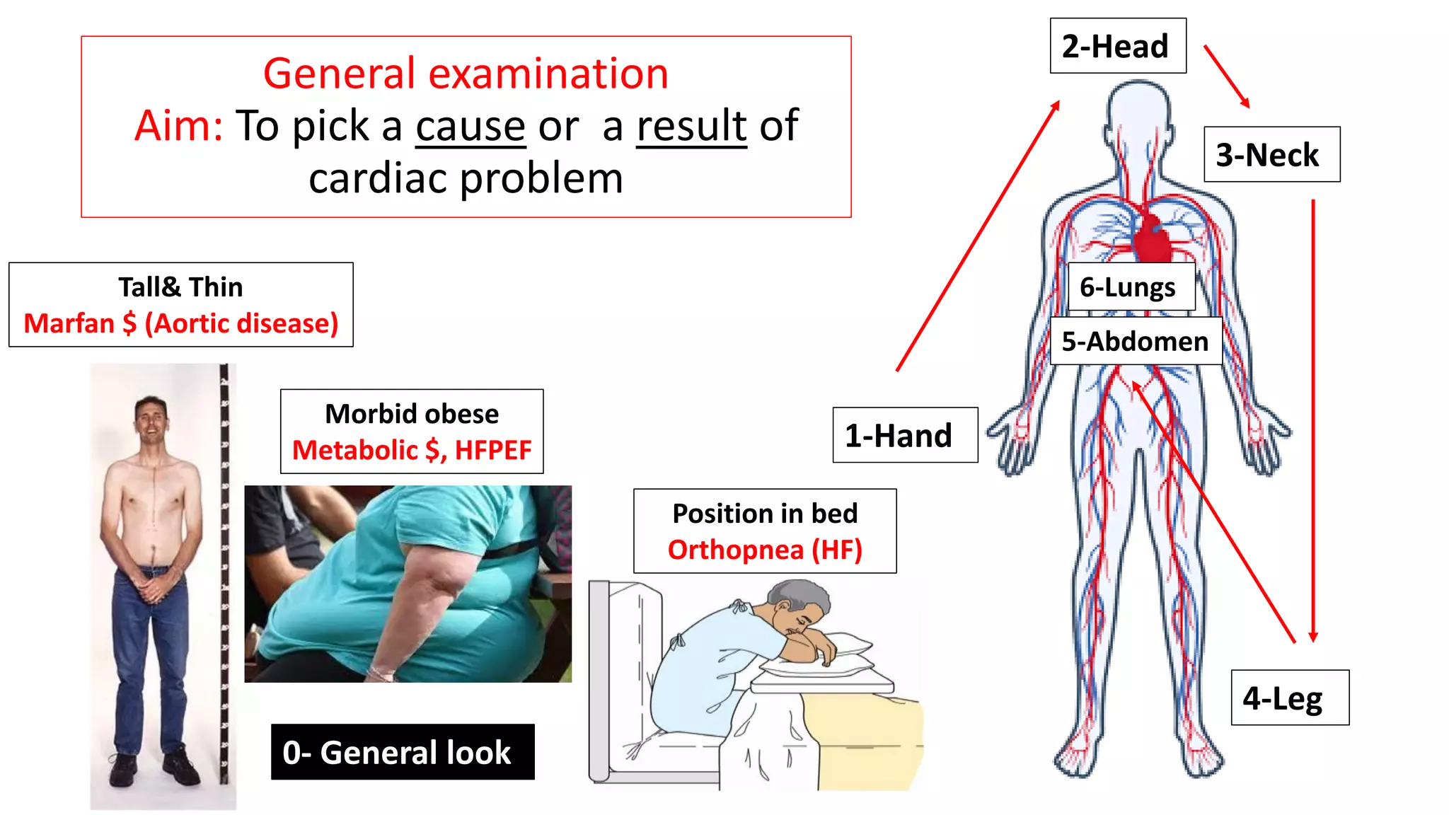 Cardiac examination | PDF