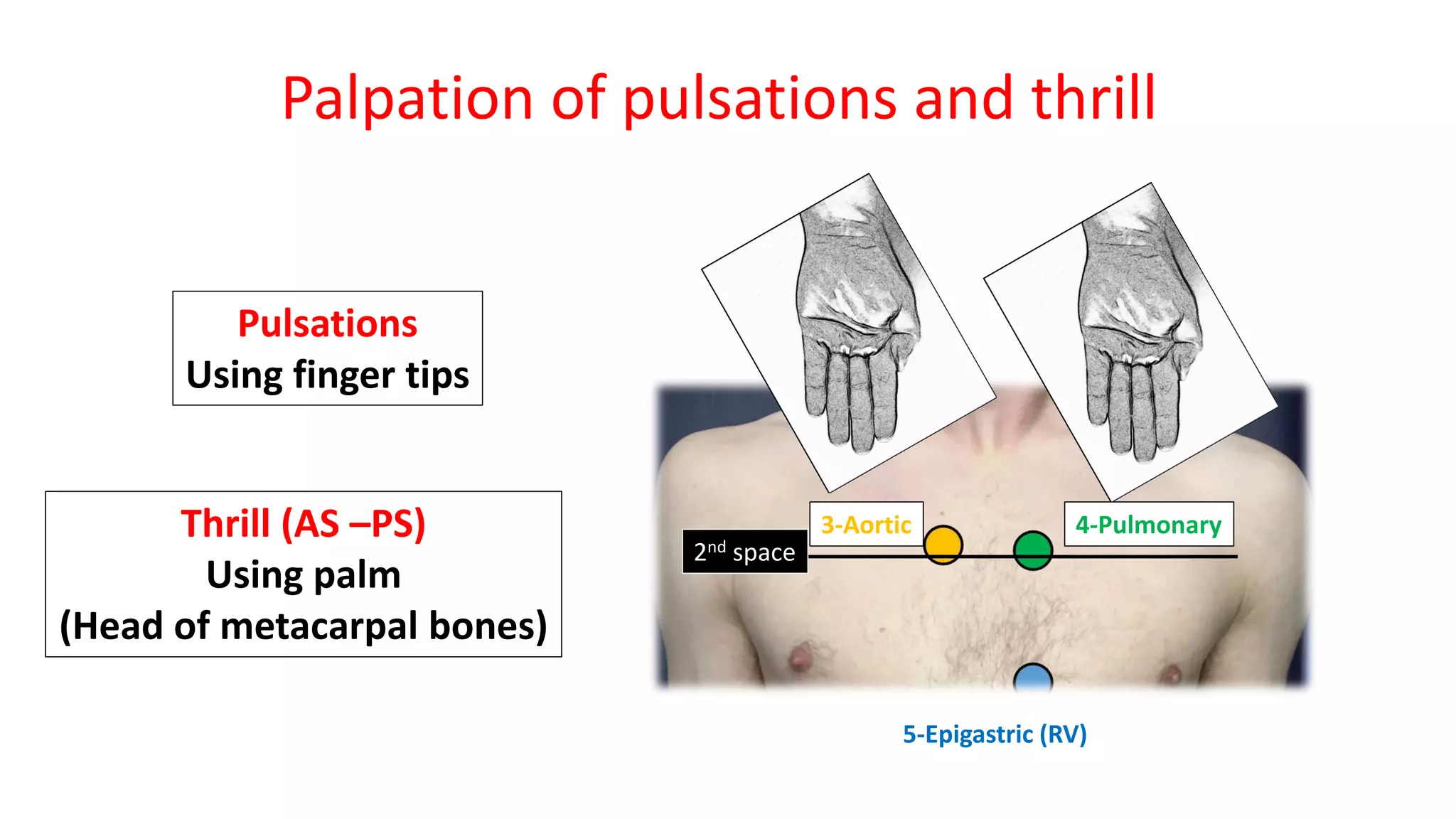 Cardiac examination | PDF