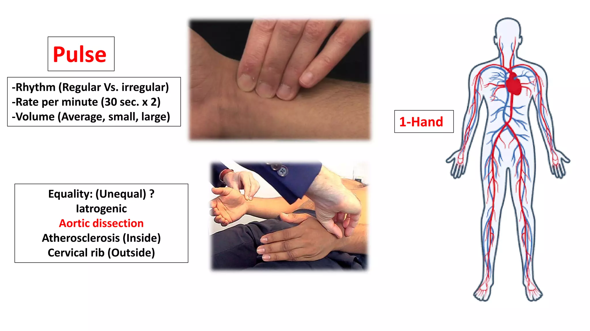 Cardiac examination | PDF