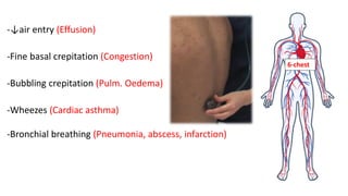 Cardiac examination | PDF