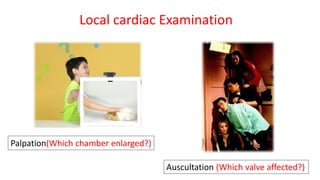 Cardiac examination | PDF