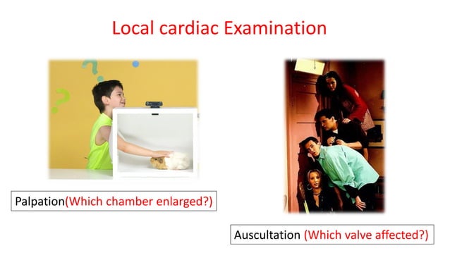 Cardiac examination | PDF | Heart and Cardiovascular Diseases ...