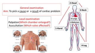 Cardiac examination | PDF