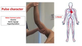 Cardiac examination | PDF