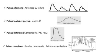 Cardiac examination | PDF