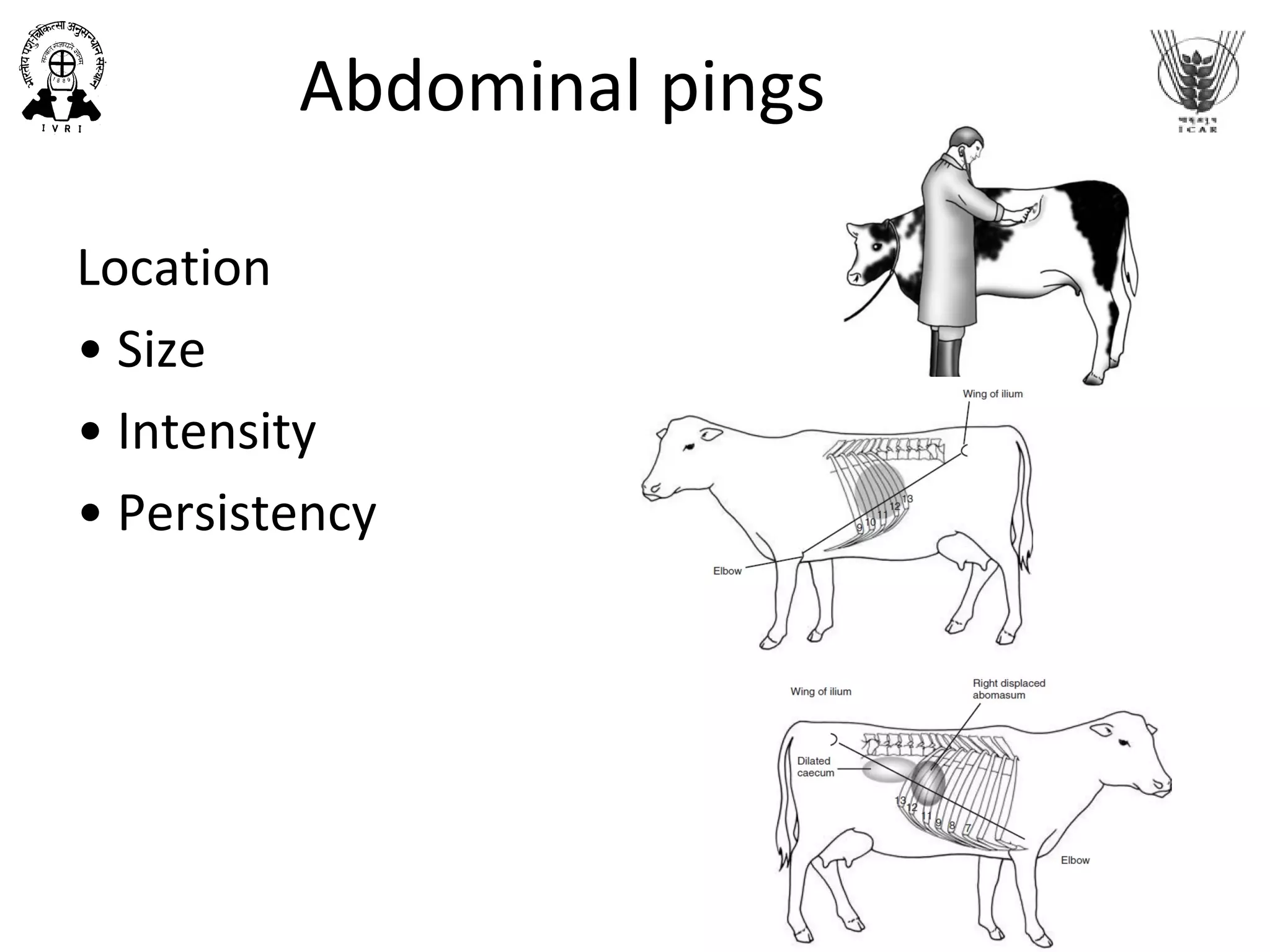 Clinical examination of Cattle | PPT