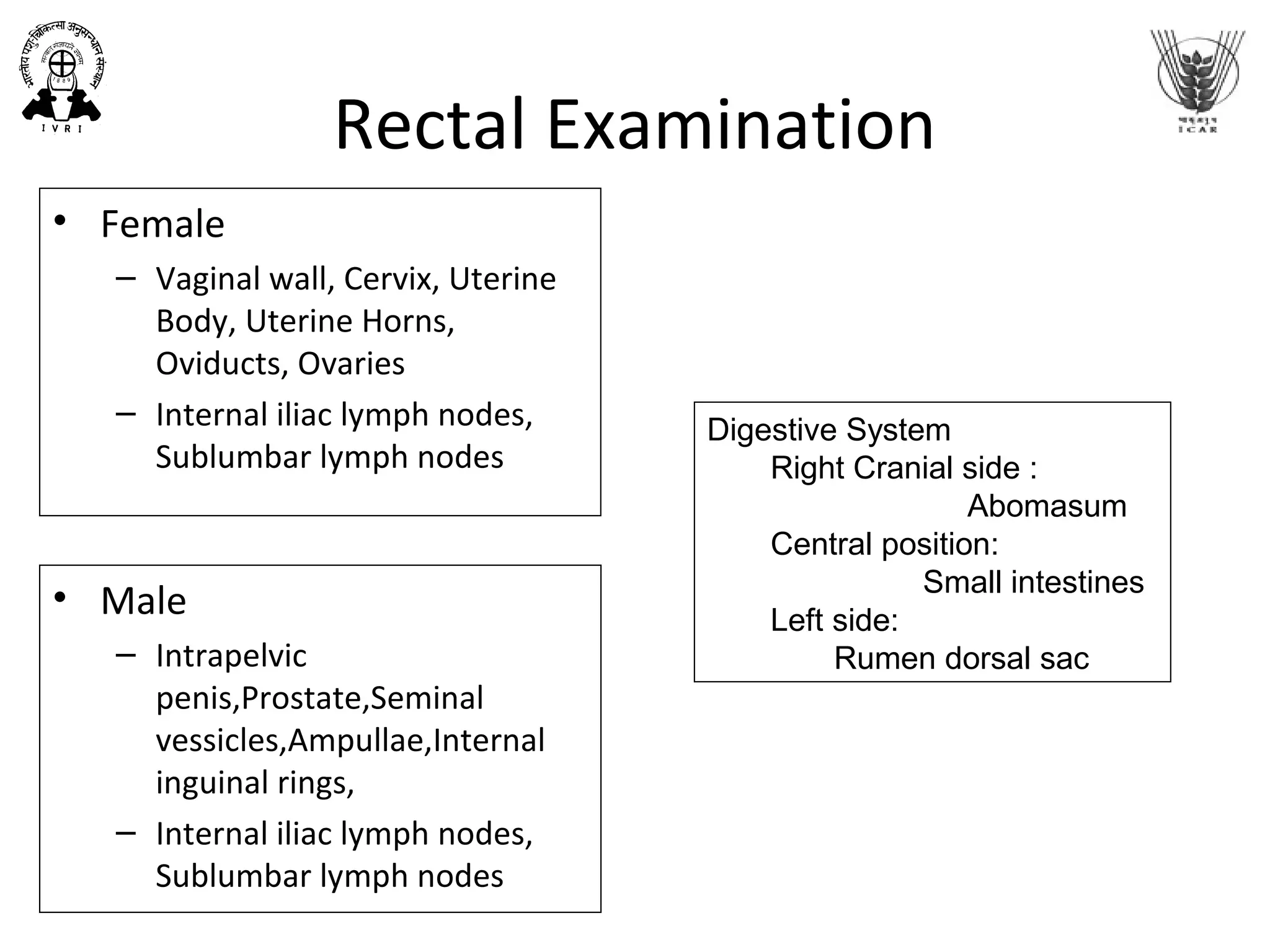 Clinical examination of Cattle | PPT