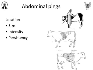 Clinical examination of Cattle | PPT