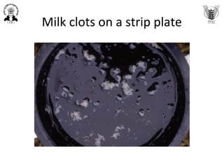 Clinical examination of Cattle | PPT