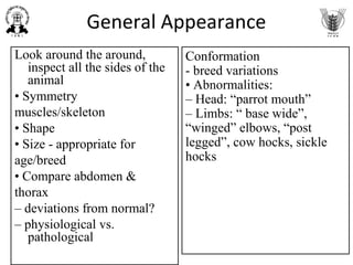 Clinical examination of Cattle | PPT