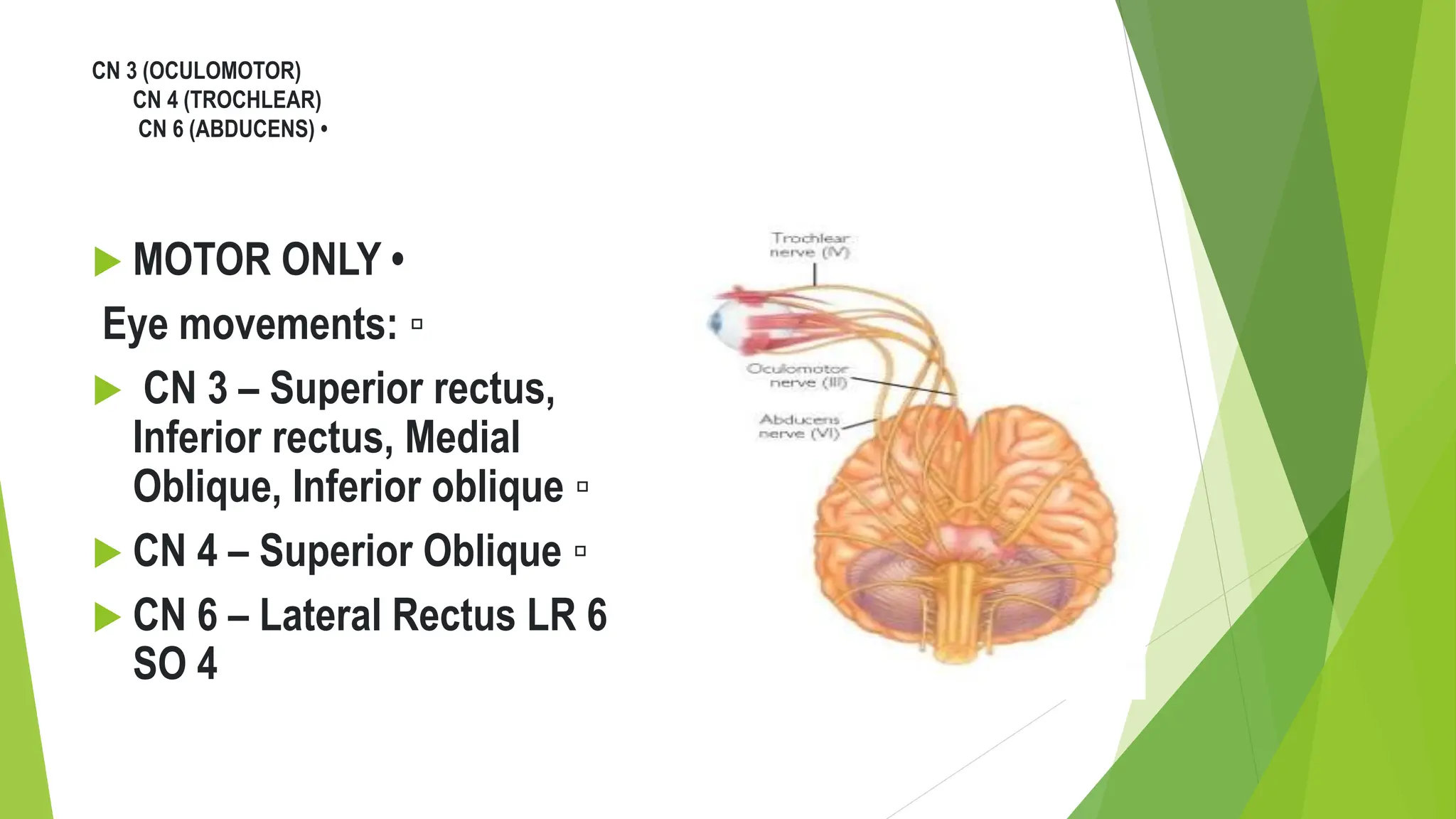 Clinical examination of- -CRANIAL nerves | PPT