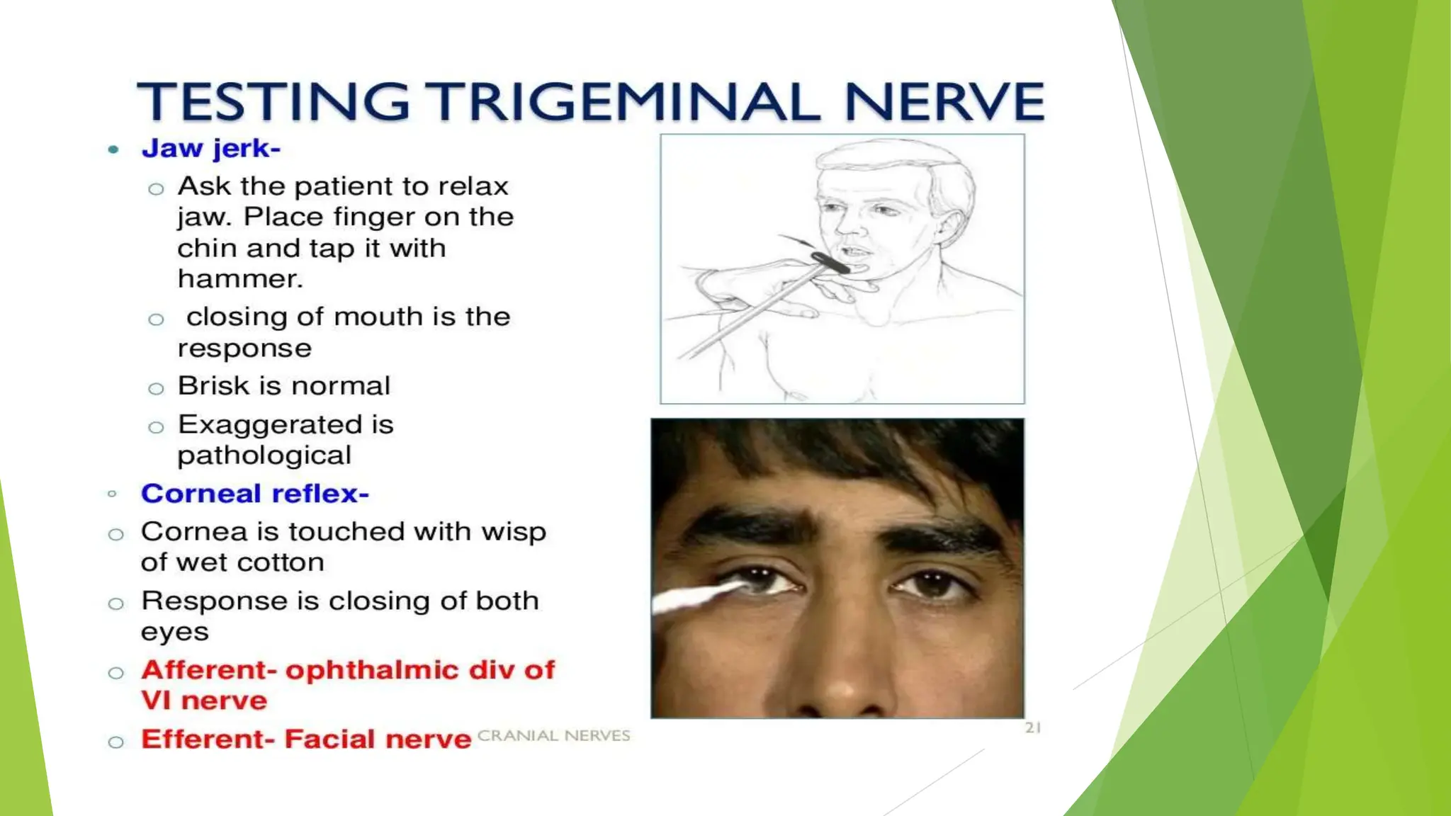 Clinical examination of- -CRANIAL nerves | PPT