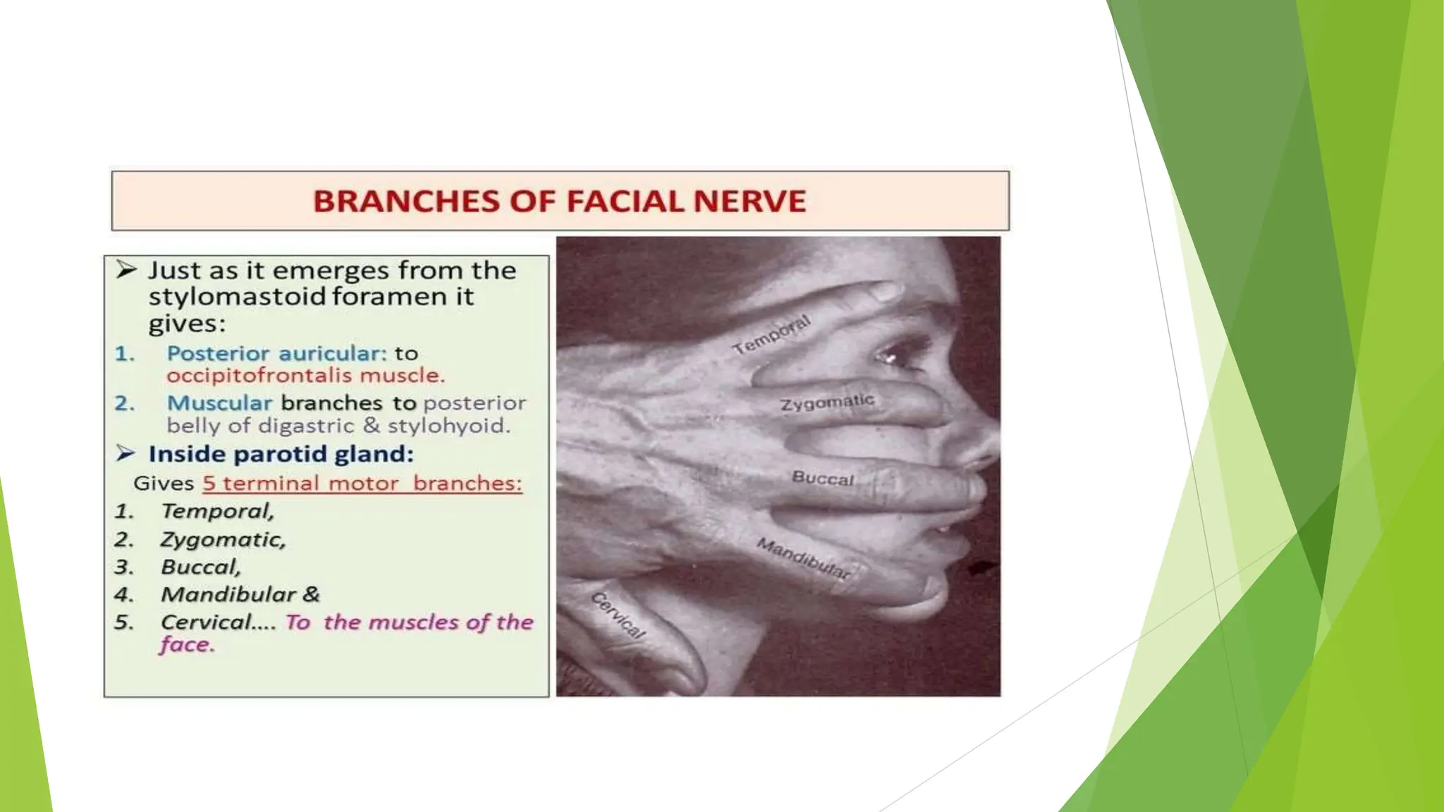 Clinical examination of- -CRANIAL nerves | PPT