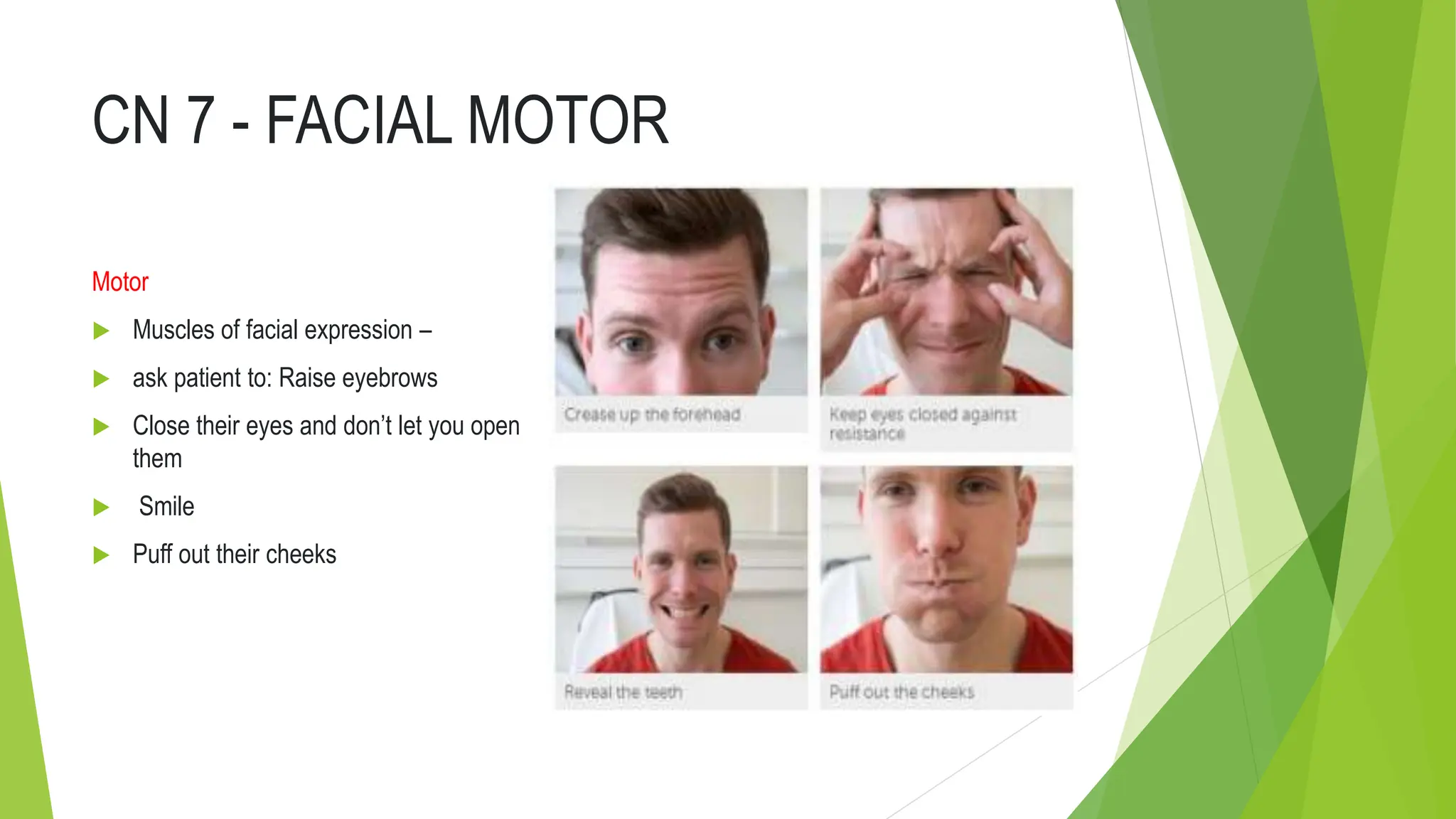 Clinical examination of- -CRANIAL nerves | PPT