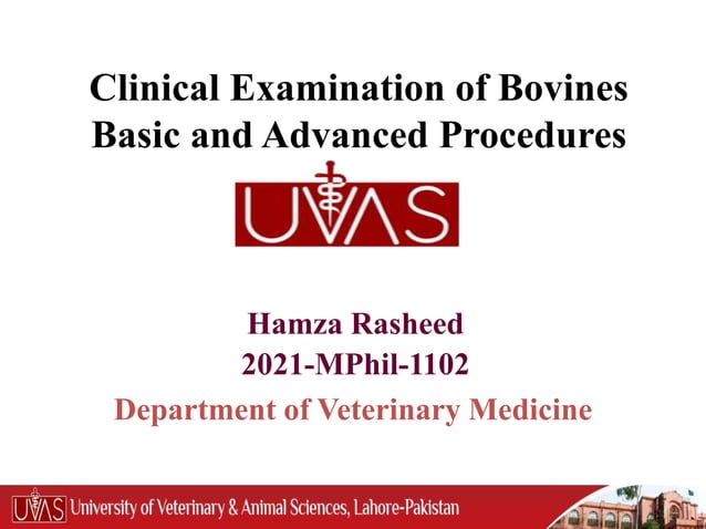 Clinical Examination of Bovines Basoc and Advance procedures | PPT