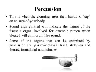Clinical Examination of Bovines Basoc and Advance procedures | PPTX