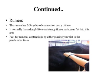 Clinical Examination of Bovines Basoc and Advance procedures | PPTX