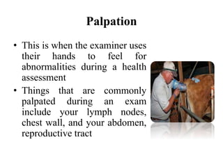 Clinical Examination of Bovines Basoc and Advance procedures | PPTX
