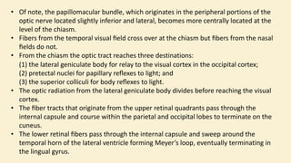 Clinical examination of cranial nerves | PPTX