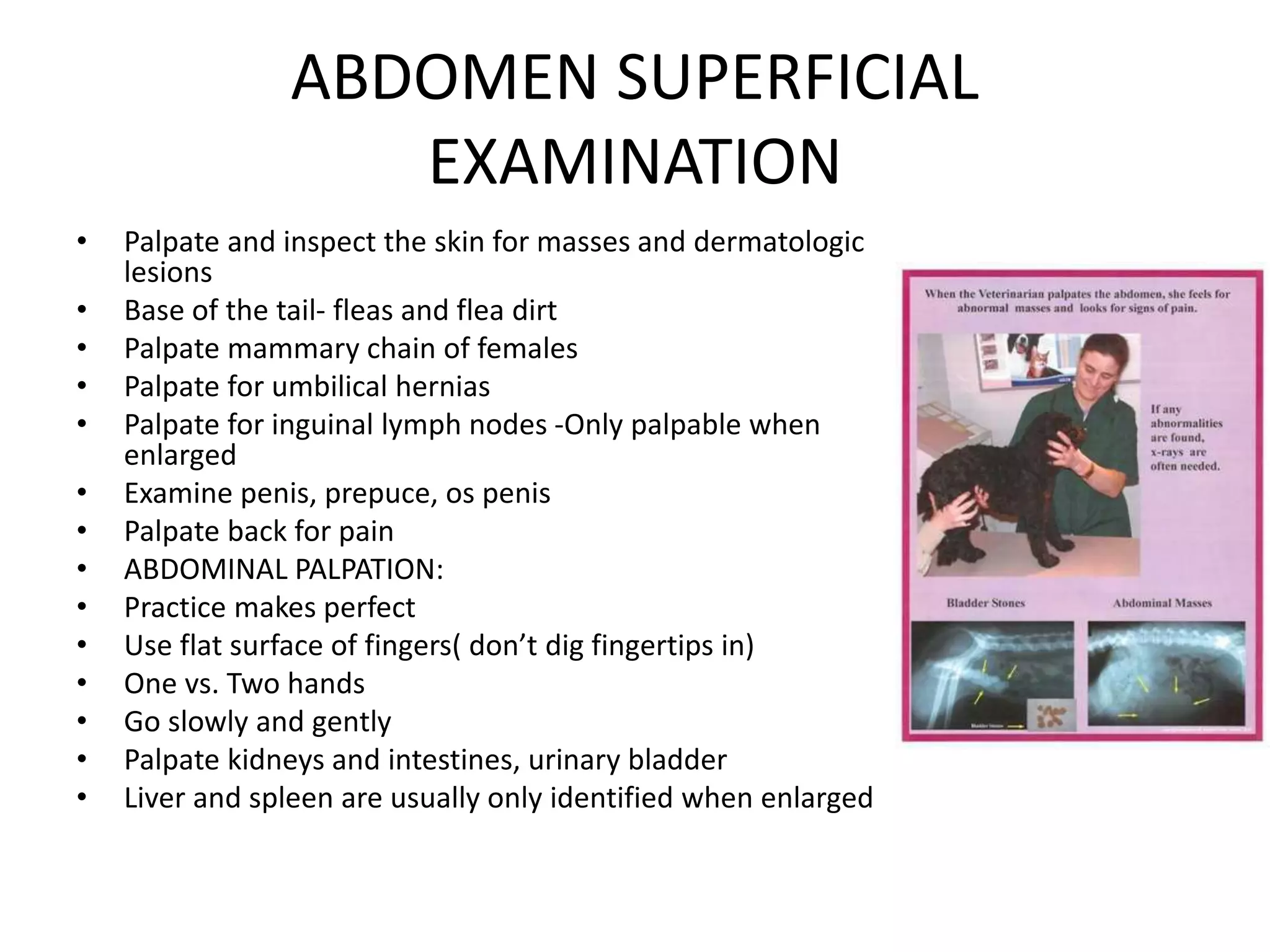Clinical Examination of Dog.ppt