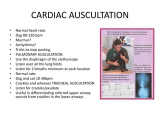 Clinical Examination of Dog.ppt