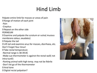 Clinical Examination of Dog.ppt
