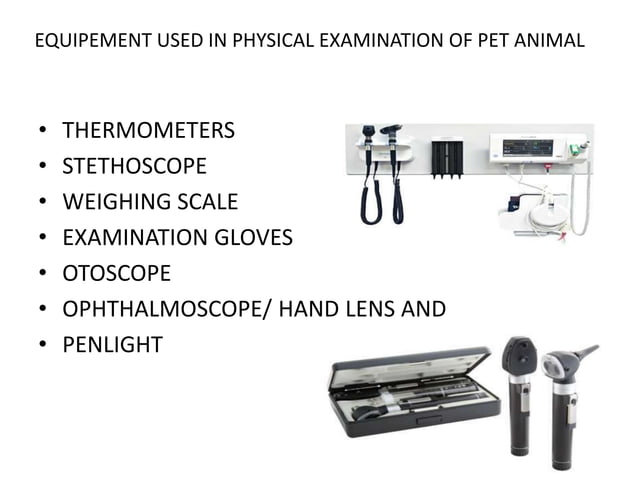 Clinical Examination of Dog.ppt