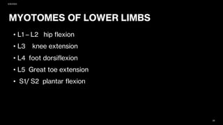 clinical examination of hip joint (1).pdf