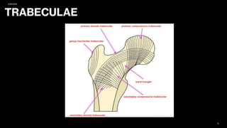 clinical examination of hip joint (1).pdf
