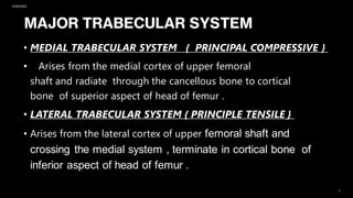 clinical examination of hip joint (1).pdf