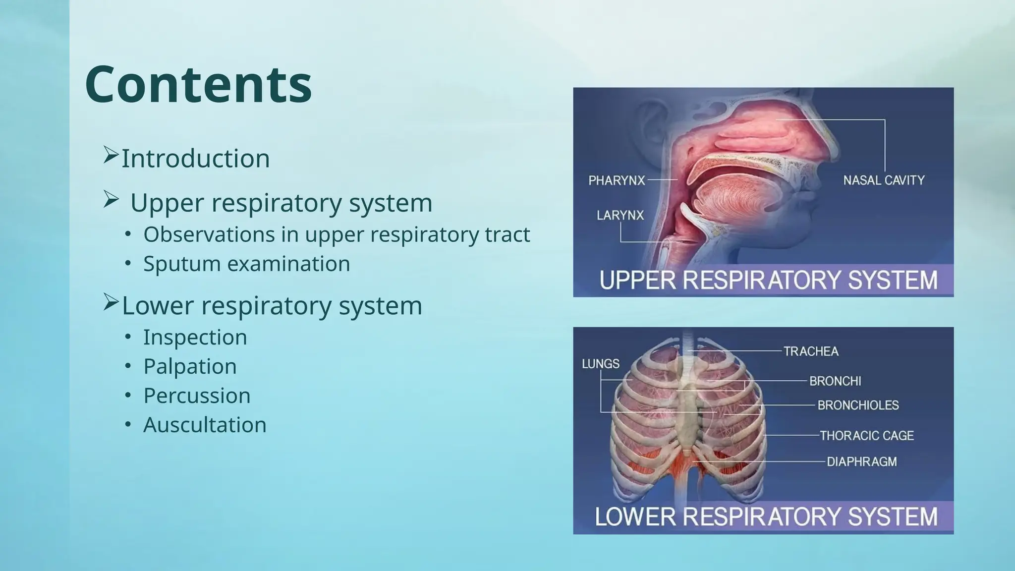 Clinical examination of Respiratory system(BSMS).pptx