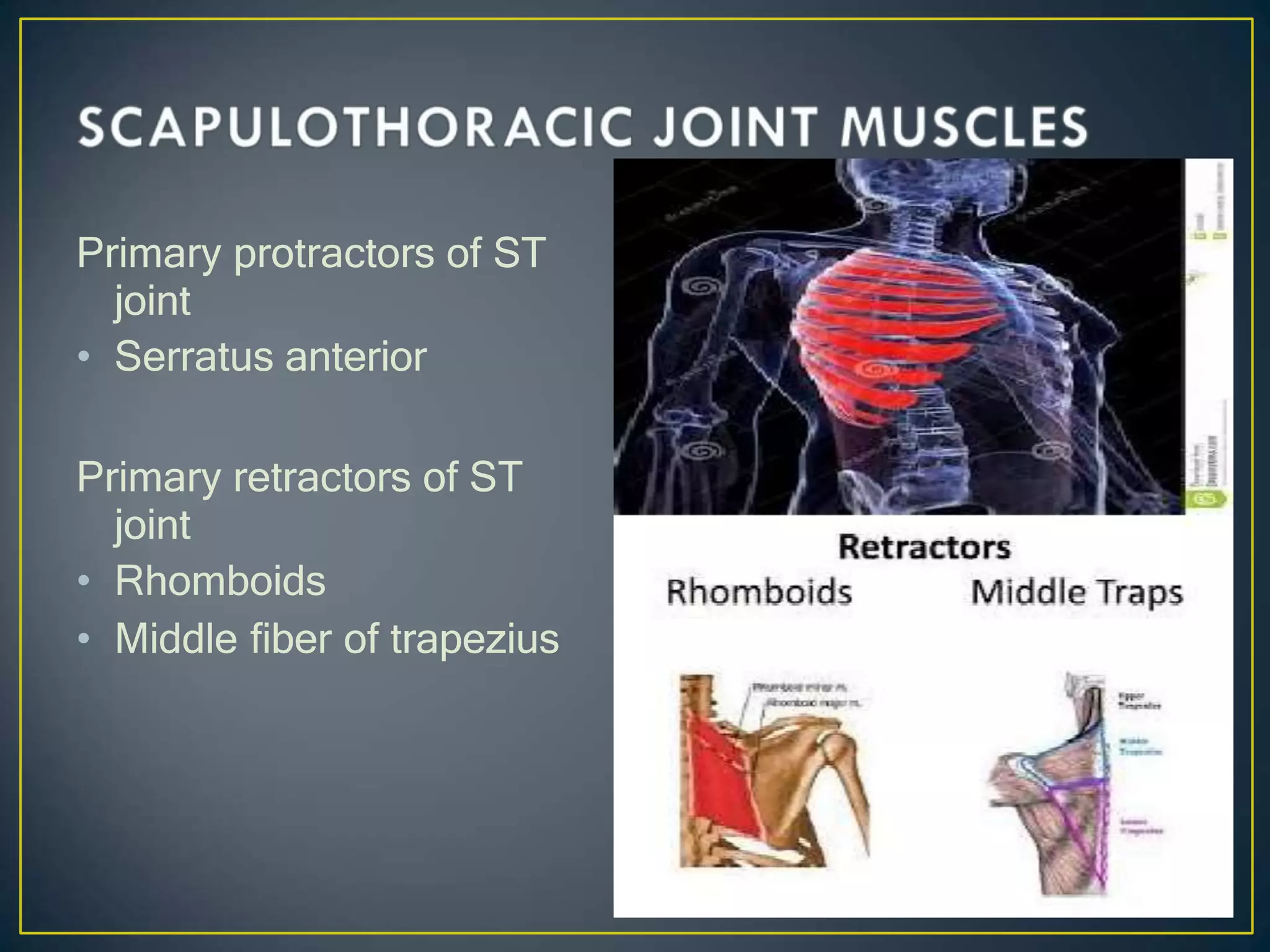clinicalexaminationofshoulder.pptx